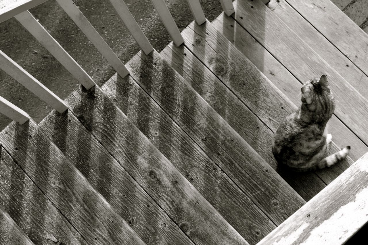 Erdogan Dogdu, Ph.D. :: R Packages and Code